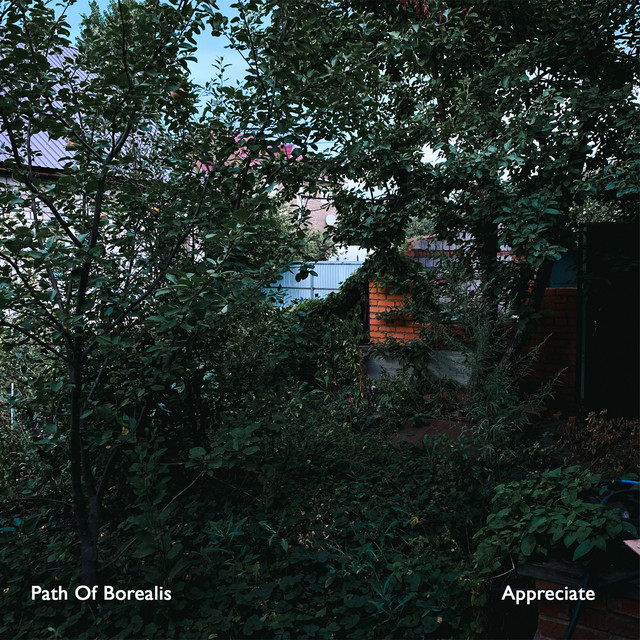 Path Of Borealis | Spotify