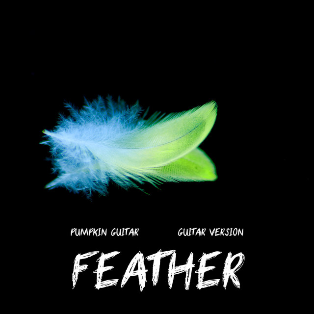 Feather (Guitar Version) - song by Pumpkin Guitar | Spotify