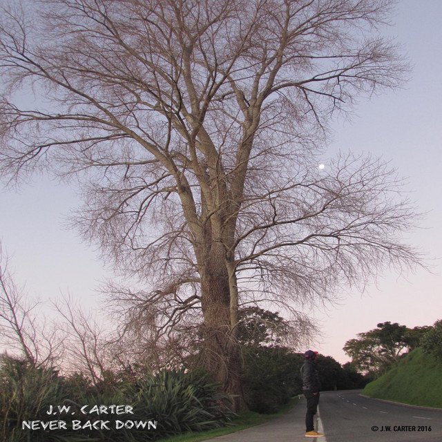 Dance - song and lyrics by J.W. Carter | Spotify