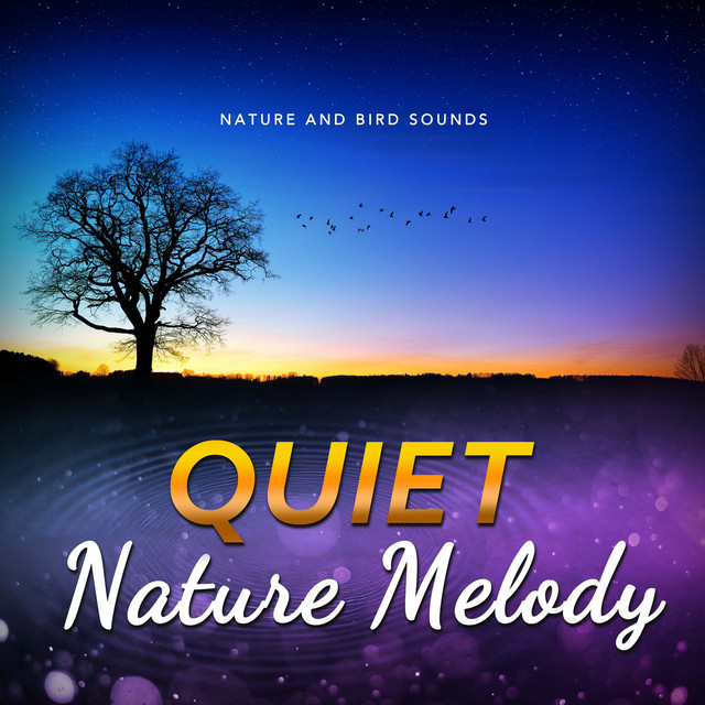 Quiet Nature Melody - Album by Nature Bird Sounds | Spotify
