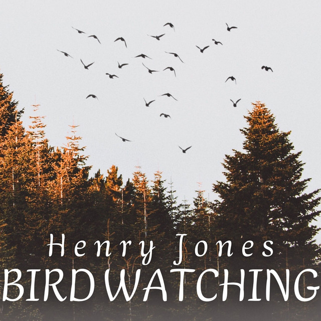 Bird Watching - Album by Henry Jones | Spotify