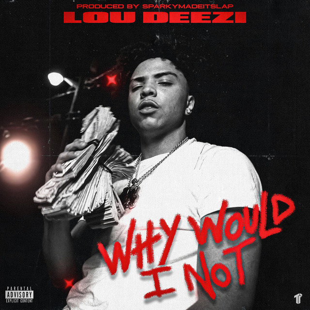 Why Would I Not - song by lou deezi | Spotify