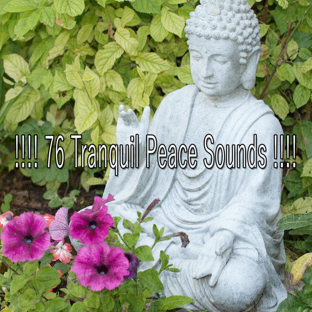 76 Tranquil Peace Sounds !!!! - Album by Asian Zen Spa Music Meditation ...