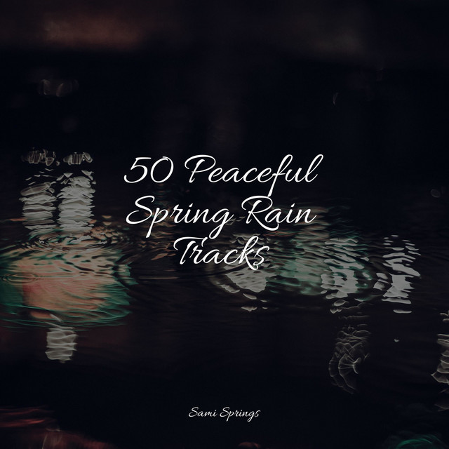 50 Peaceful Spring Rain Tracks - Album by Relajación | Spotify