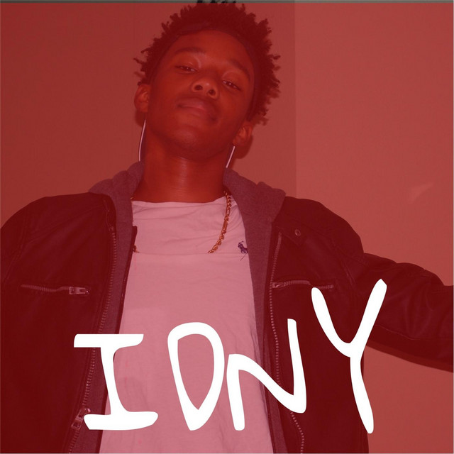 IDNY - Single by Damani Gibson | Spotify