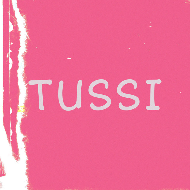 TUSSI - Single by Donovan Obando | Spotify