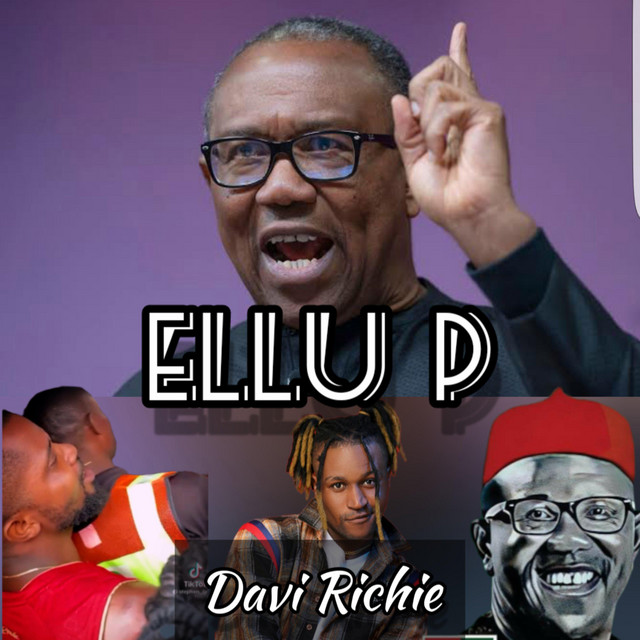 Ellu P Eluu P 76 (Obi Nwannem Amapiano Way) - Single by Davi Richie ...