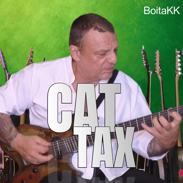 Cat Tax - Single by Hervé Senni | Spotify