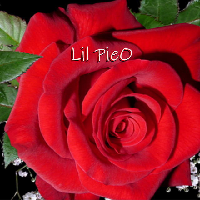 Roses Are Red - Single by Lil Pieo | Spotify