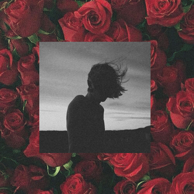 4am - song and lyrics by girl in red | Spotify