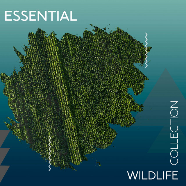 zZz Essential Wildlife Collection zZz - Album by Nature Sounds Nature ...