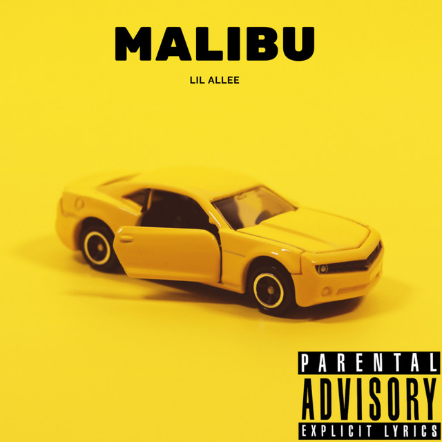 Malibu - Single by LIL Allee | Spotify
