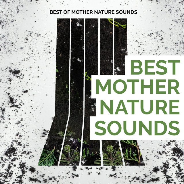 Best Mother Nature Sounds - Album by Best of Mother Nature Sounds | Spotify