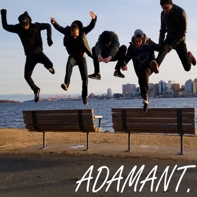 Adamant - song and lyrics by Record Year | Spotify