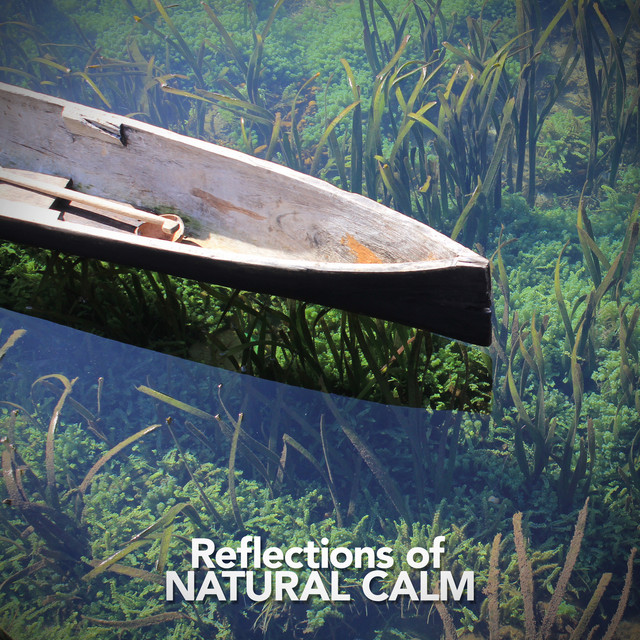 Reflections of Natural Calm - Album by Sounds of Nature Relaxation ...