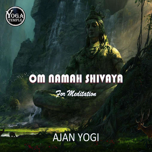 Om Namah Shivaya - Single by Ajan Yogi | Spotify