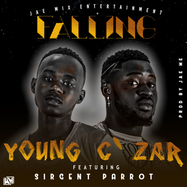 Falling - Single by Sirgent Parrot | Spotify