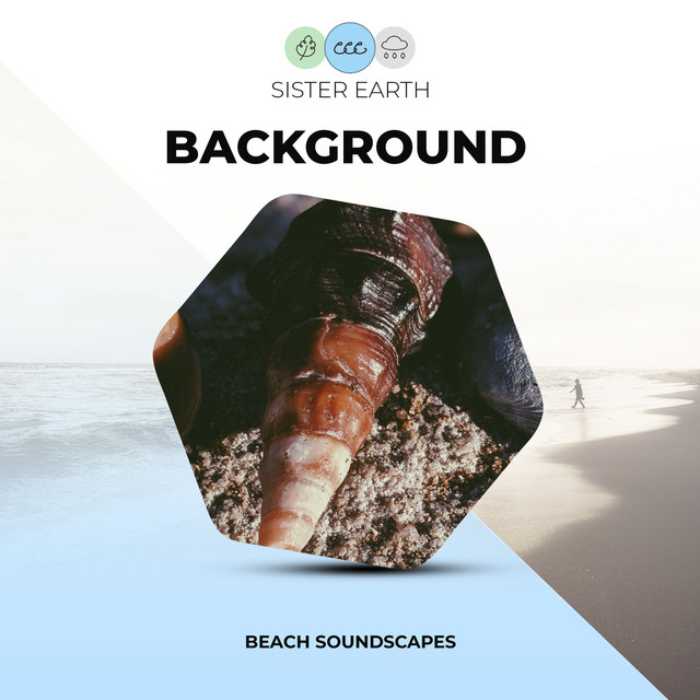 Background Beach Soundscapes - Single by Ocean Waves For Sleep | Spotify