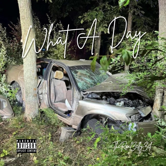 What A Day - song and lyrics by Therealzellyzel | Spotify