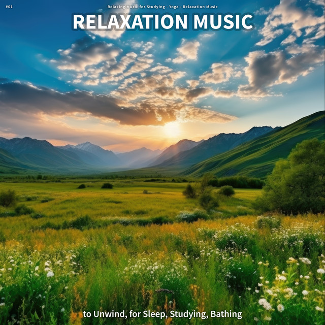 Calming Music - song by Relaxing Music for Studying, Yoga, Relaxation ...