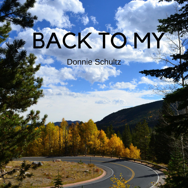 Back to MY - Single by Donnie Schultz | Spotify