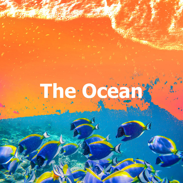 The Ocean - Album by Ocean Sounds | Spotify