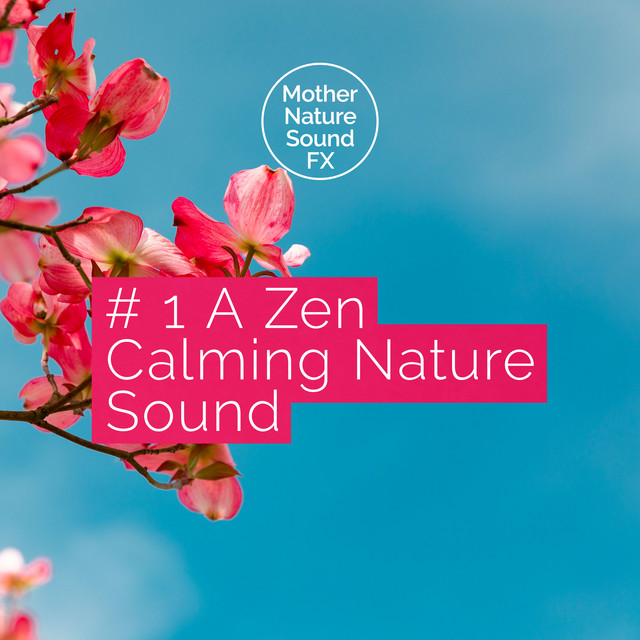 # 1 A Zen Calming Nature Sound - Album by Mother Nature Sound FX | Spotify