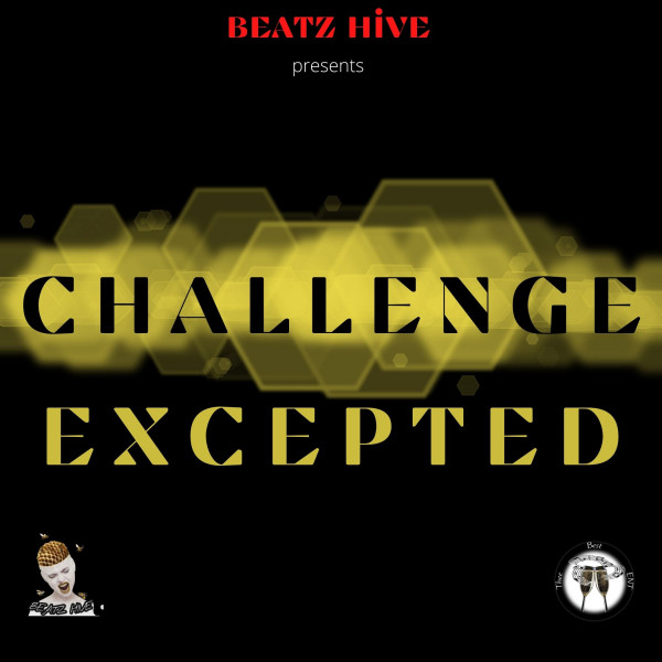Challenge Accepted - Single by Beatz Hive | Spotify