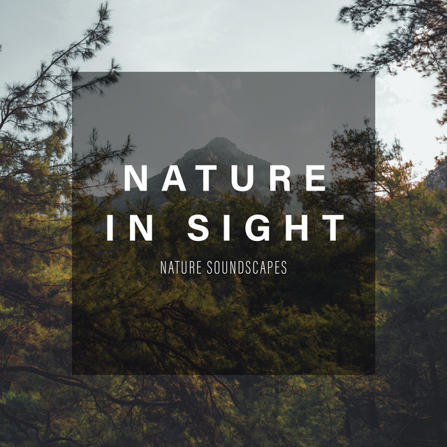 Nature In Sight - Album by Nature Soundscapes | Spotify