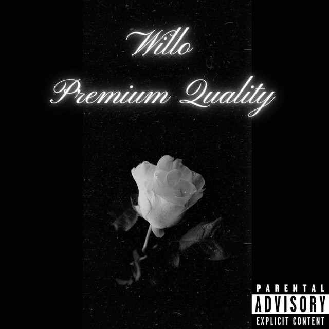Willo | Spotify