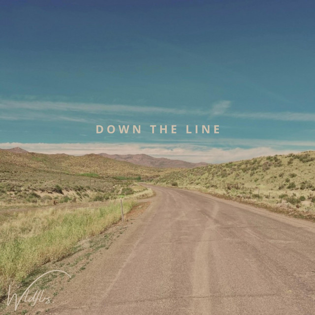 Down the Line - song by Wildflowers | Spotify