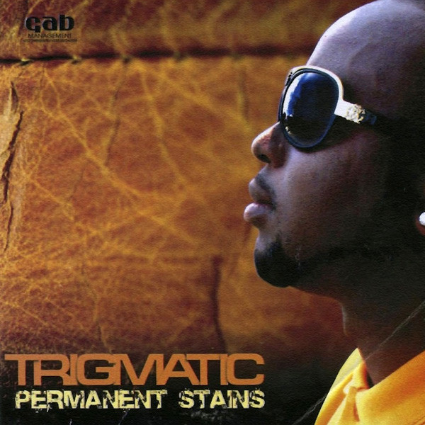 Permanent Stains - Album by Trigmatic | Spotify