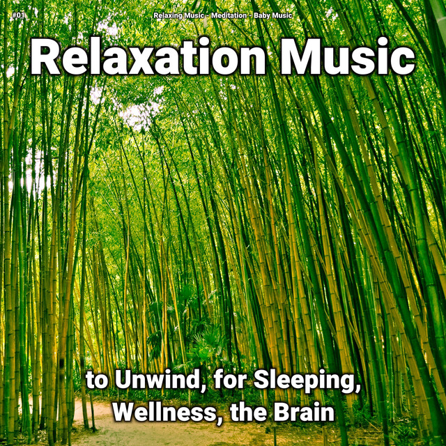 #01 Relaxation Music to Unwind, for Sleeping, Wellness, the Brain ...