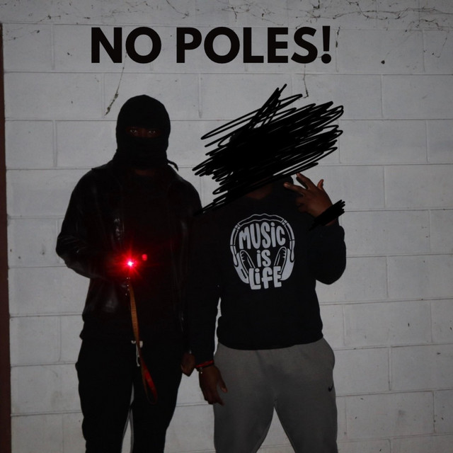 NO POLES! - song by TAURXS | Spotify