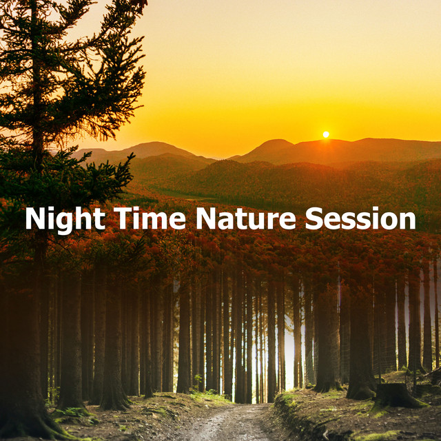 Night Time Nature Session - Album by Nature Sounds Nature Music | Spotify