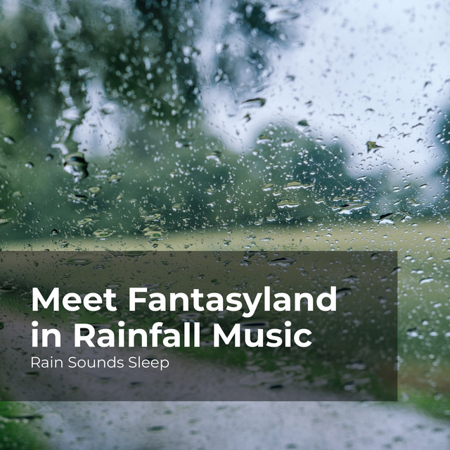 Meet Fantasyland in Rainfall Music - Album by Rain Sounds Sleep | Spotify