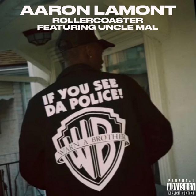 ROLLERCOASTER - Single by Aaron Lamont | Spotify