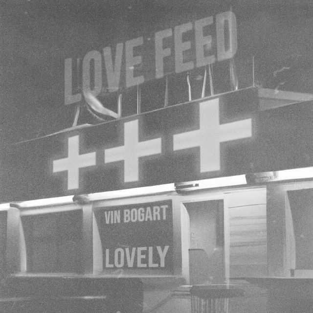 Lovely - Single by Vin Bogart | Spotify