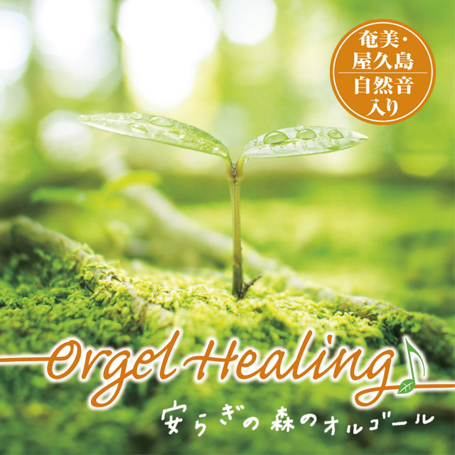 SCHERER GEORG - Orgel - song and lyrics by TENDER SOUND JAPAN | Spotify