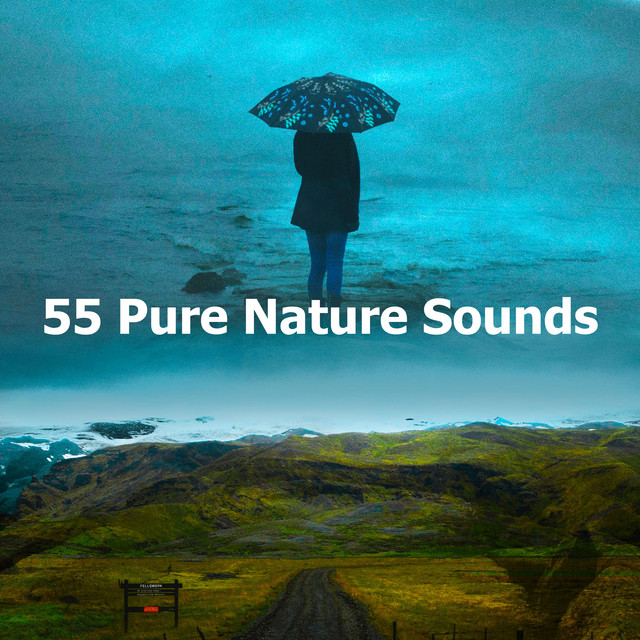 55 Pure Nature Sounds - Album by Nature and Rain | Spotify