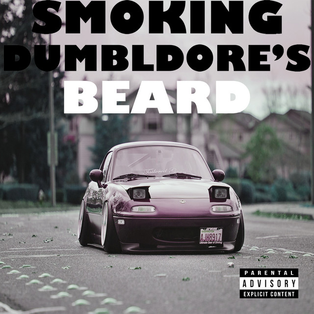 Smoking Dumbledore's Beard - Single by Условность | Spotify