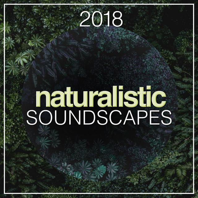 2018Naturalistic Soundscapes - Album by Nature Recordings | Spotify