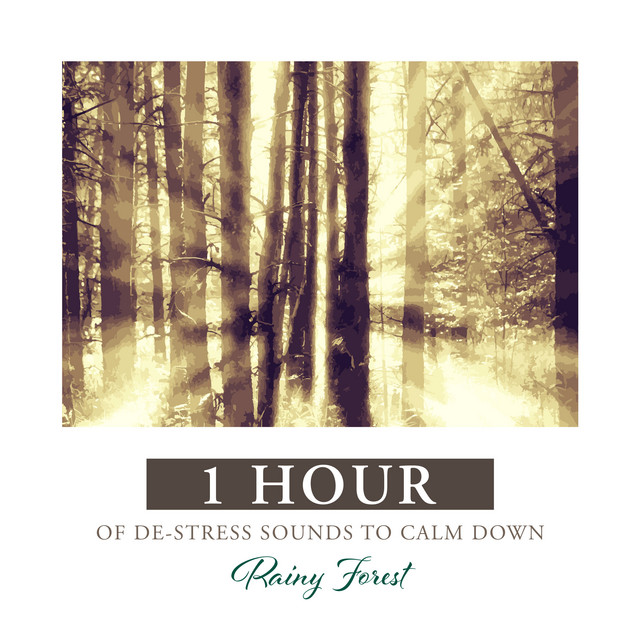 Rainy Forest: 1 Hour of De-Stress Sounds to Calm Down - Single by ...