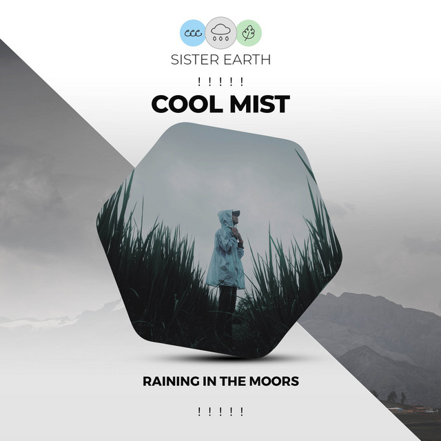 Cool Mist Raining in the Moors ! ! ! ! ! - Album by Rain for Deep Sleep ...
