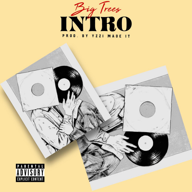 Intro - Single by Big Trees | Spotify
