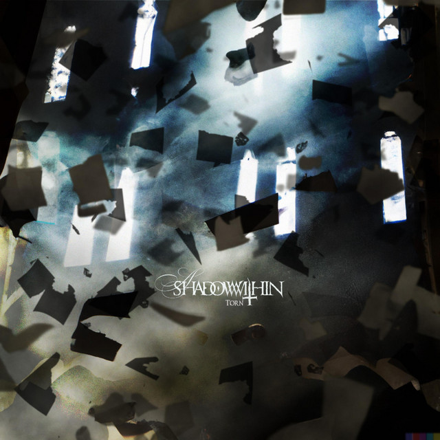 Torn - Single by A Shadow Within | Spotify