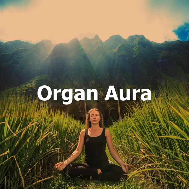 Organ Aura - Album by Nature Sounds Relaxation: Music for Sleep ...