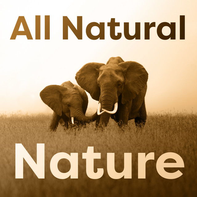 All Natural Nature - Album by Collection de Musique Naturelle | Spotify