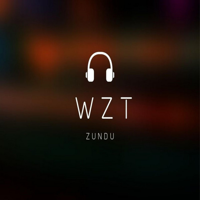 WZT - song and lyrics by zundu | Spotify