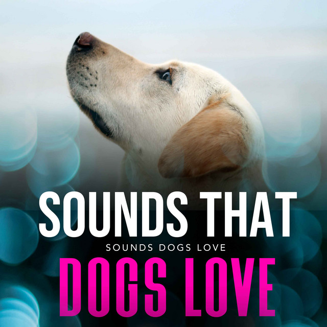 Roaring Splats - song and lyrics by Sounds Dogs Love | Spotify